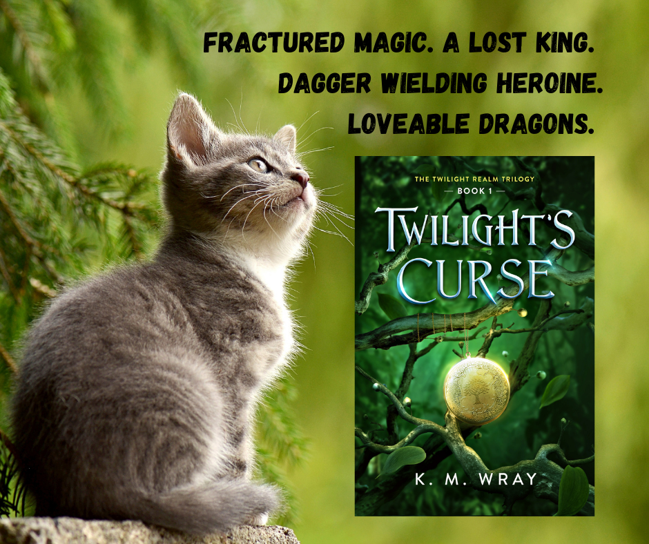 Twilight’s Curse: Behind the Scenes -the brownies – K. M. Wray